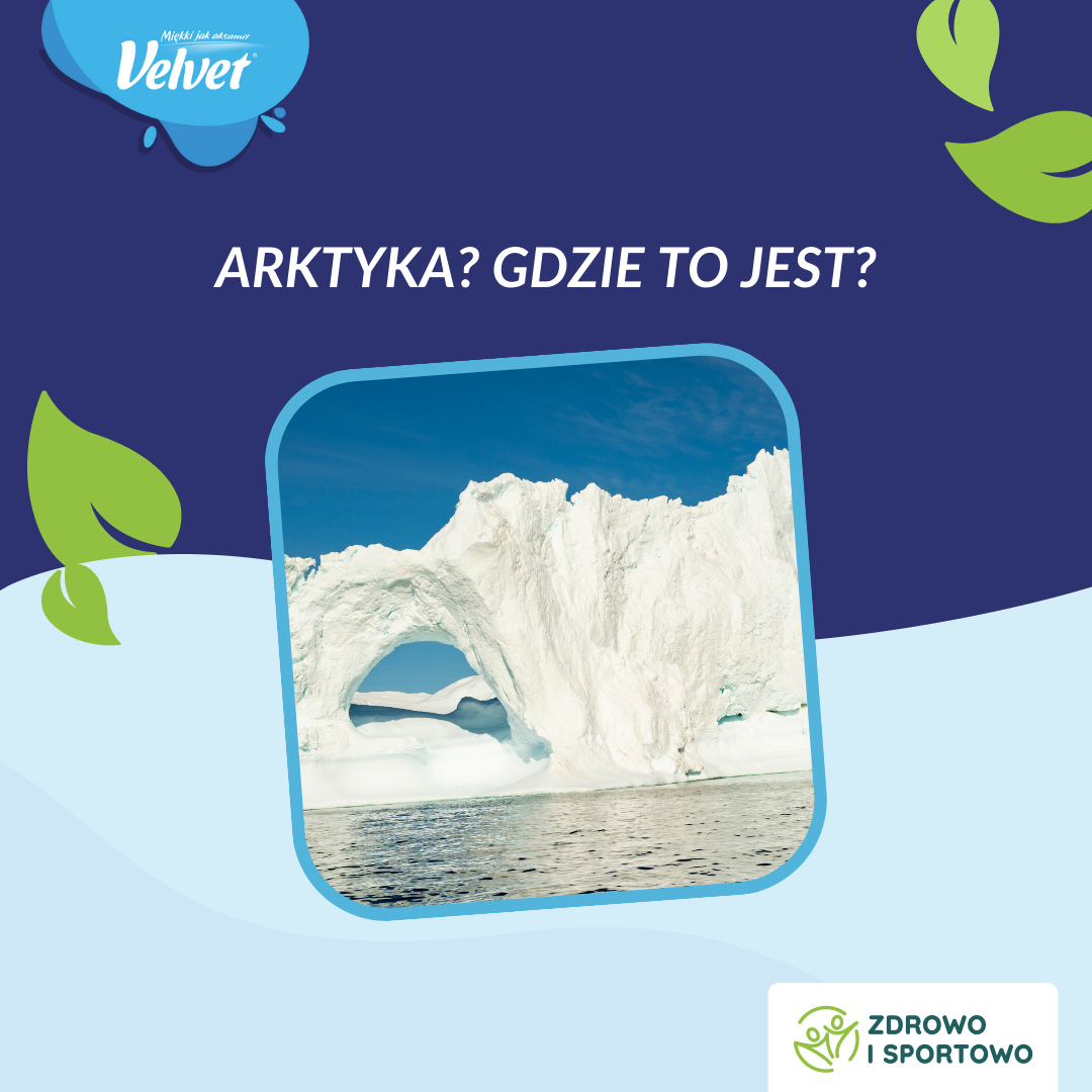 Arktyka - dom niedźwiedzia polarnego - Program edukacyjny Rok z Higieną ...